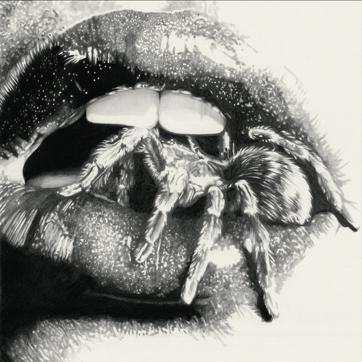Masheena - Let the Spiders in